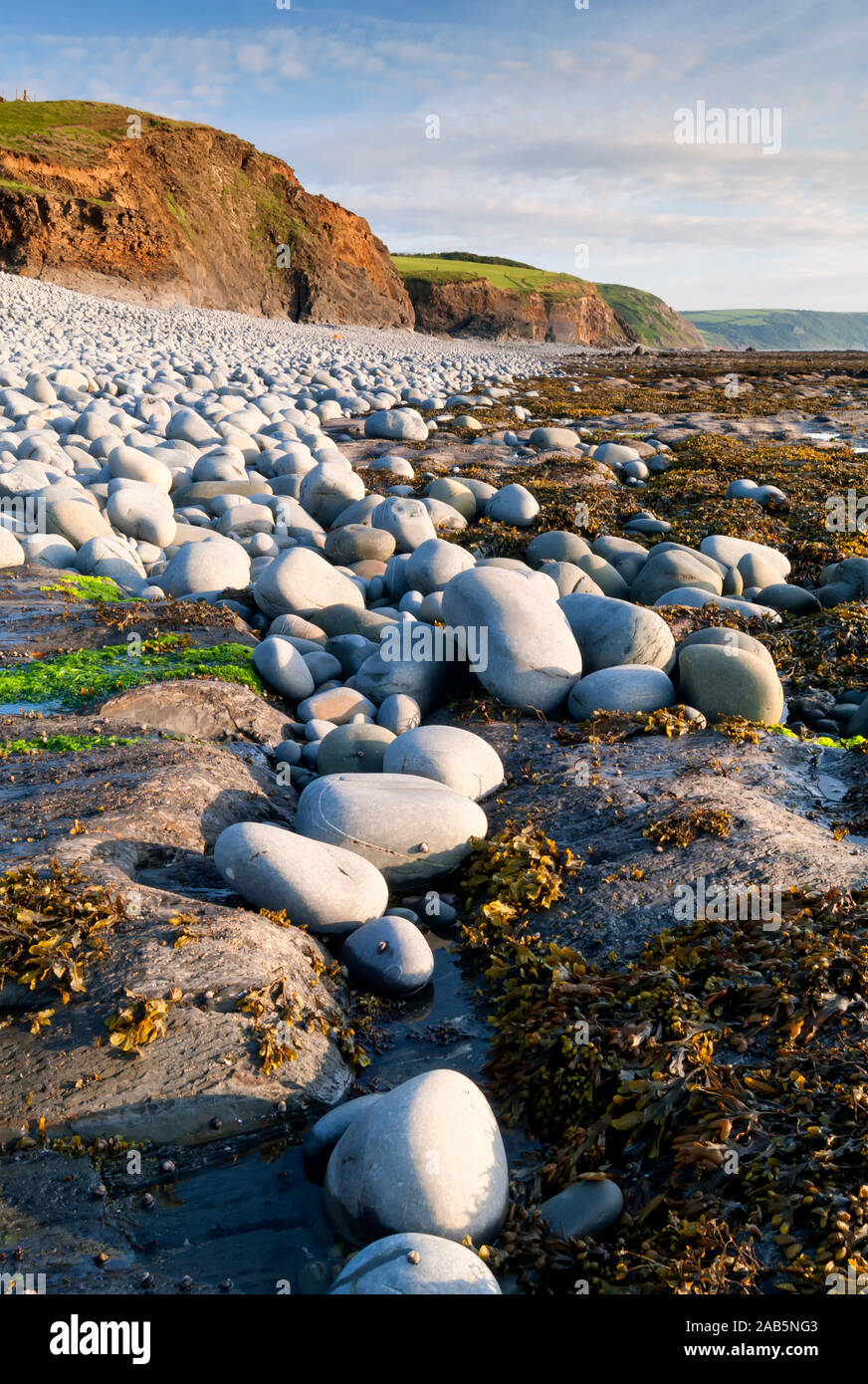 Abbotsham cliffs, Cornborough and Greencliff, North Devon , UK Stock ...