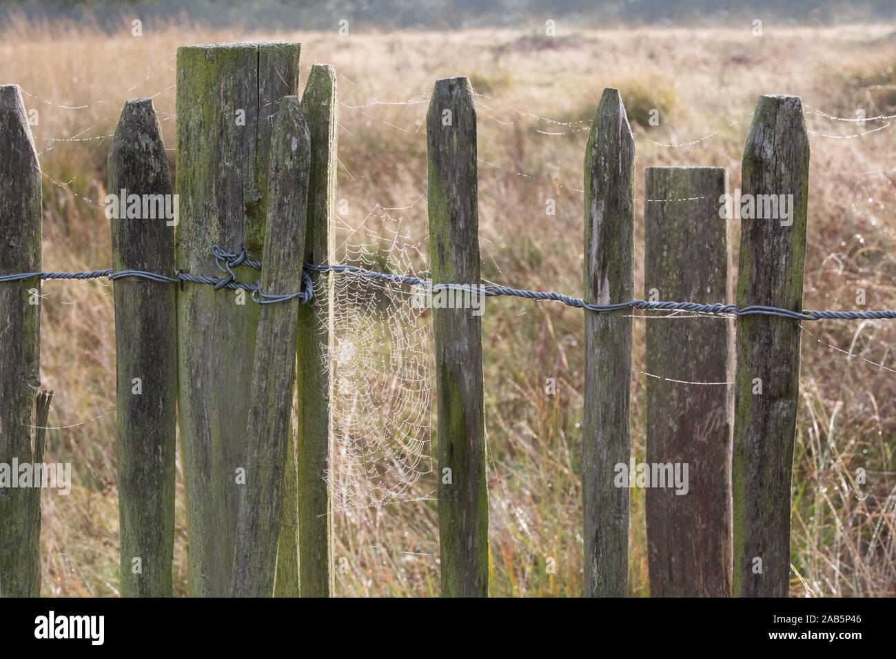 Traditional wooden fence hi-res stock photography and images - Alamy