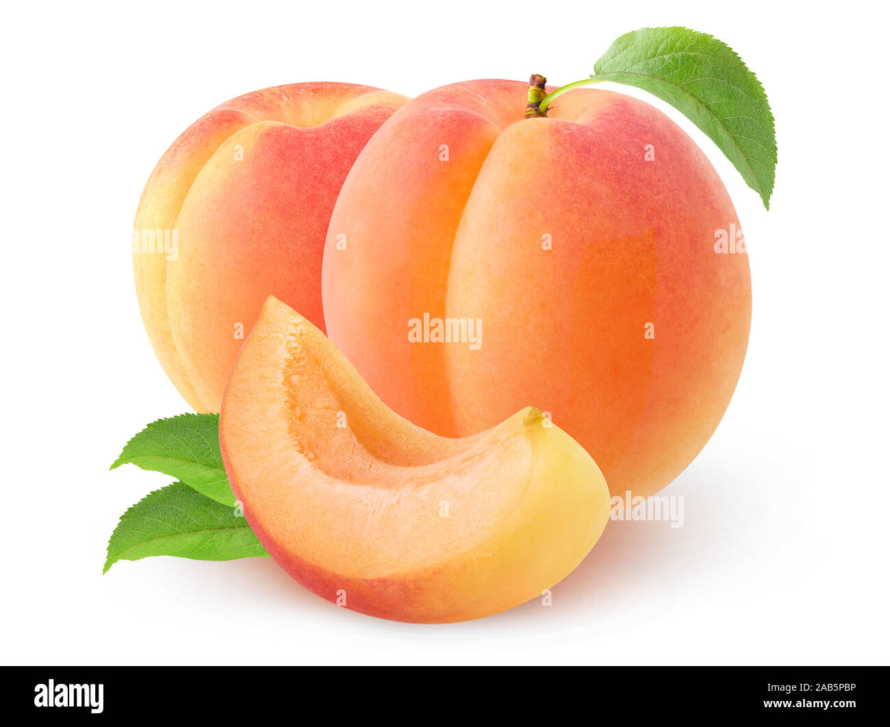 Isolated apricot fruits. Two fresh apricots with leaves and a piece ...