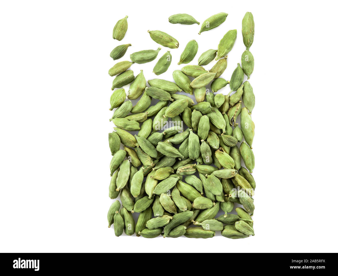 Cardamom isolated on white background with copy space for text or ...