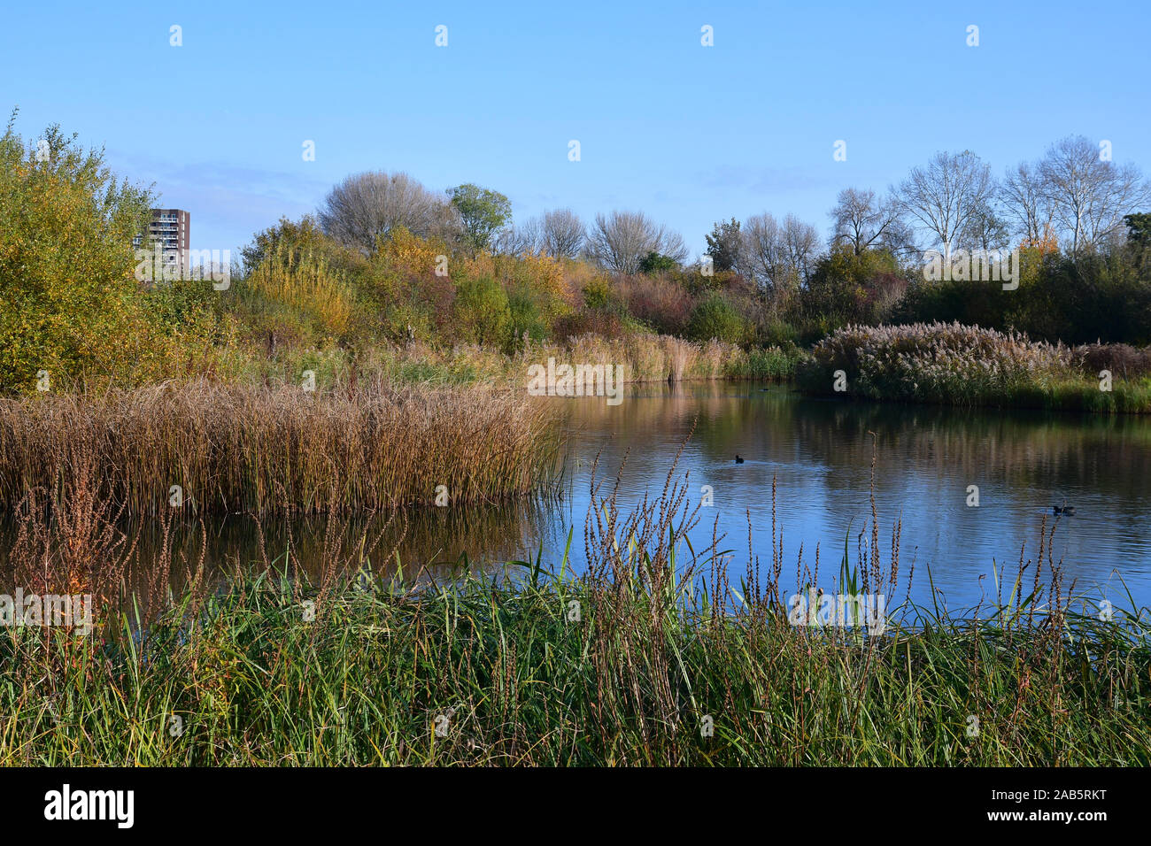 WWT London Wetland Centre, Queen Elizabeth's Walk, London, SW13, UK ...