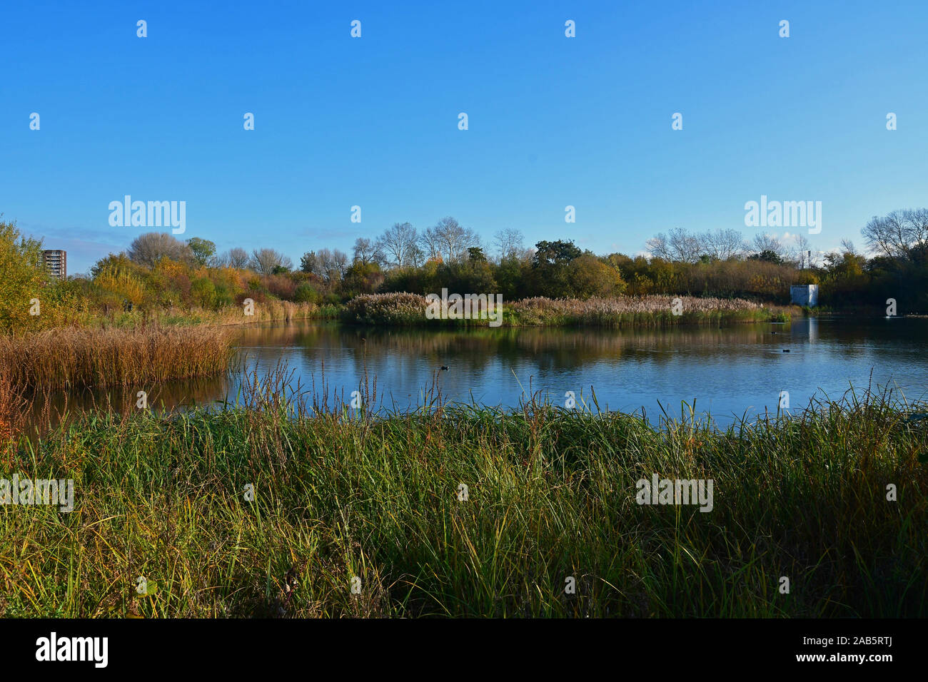 WWT London Wetland Centre, Queen Elizabeth's Walk, London, SW13, UK ...
