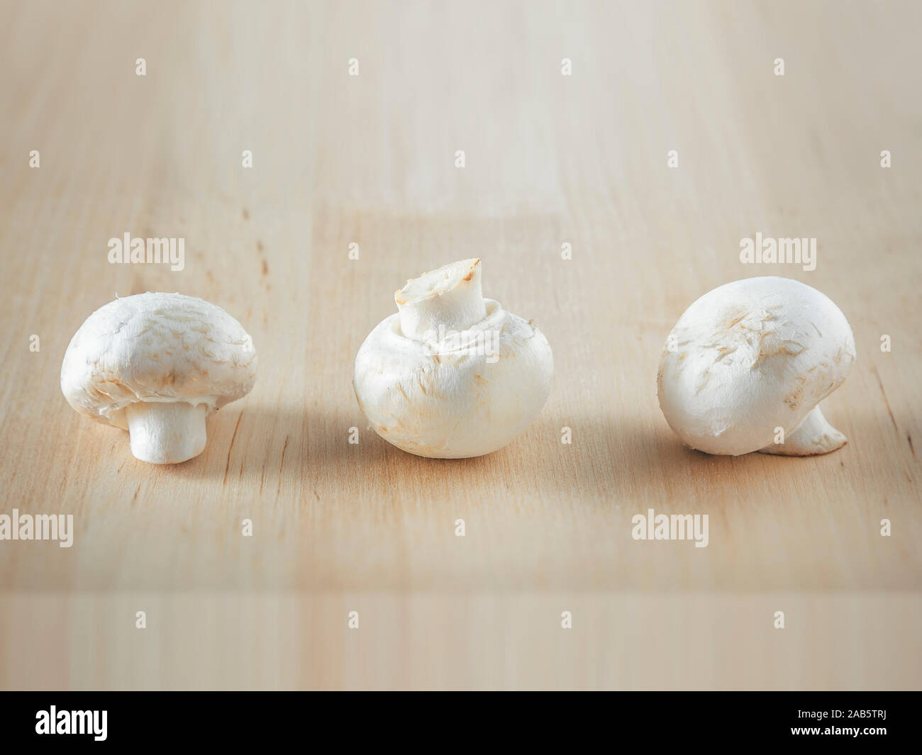 Pilze sammeln hi-res stock photography and images - Alamy