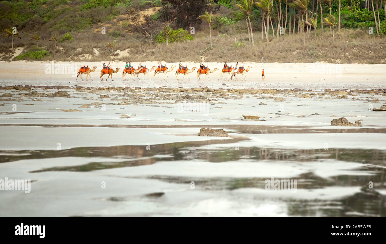 Karawane High Resolution Stock Photography and Images - Alamy