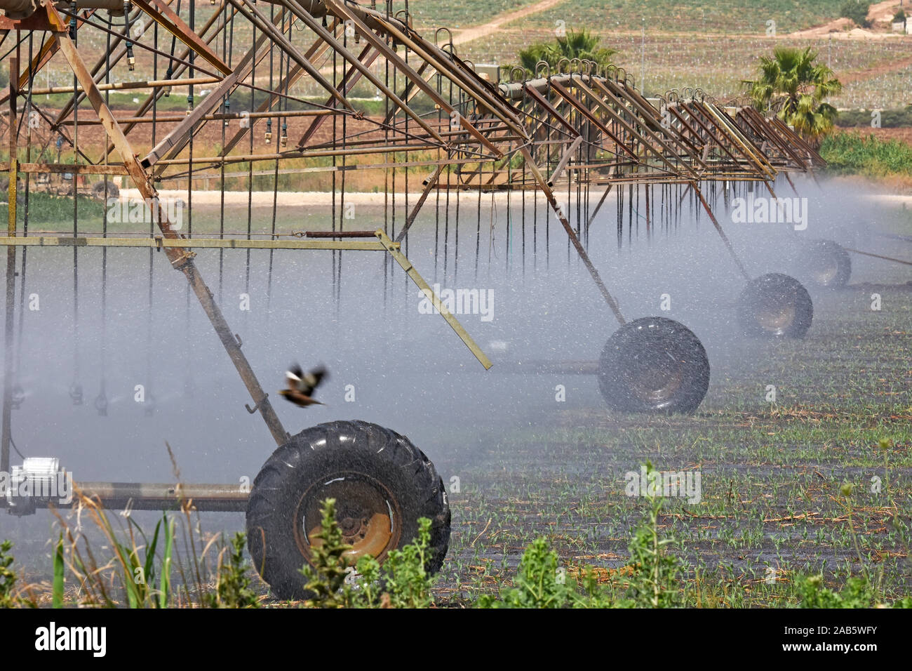 Water irrigation system Stock Photo - Alamy
