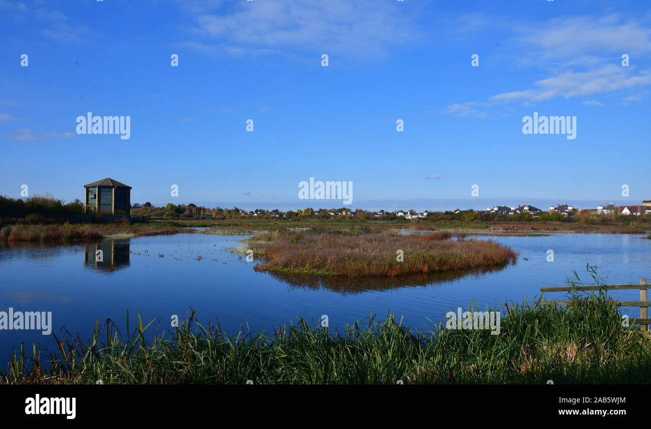 Bird hide / observatory at the WWT London Wetland Centre, Queen ...