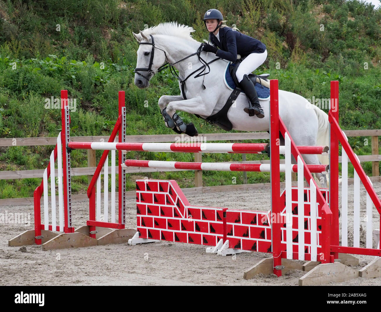 A grey horse and rider over a red and white spread fence of a ...