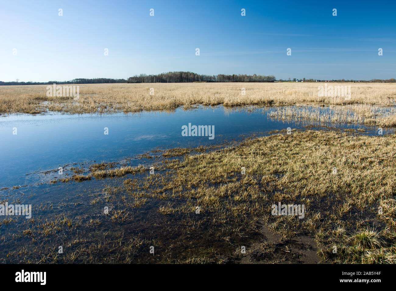 Grassland water hi-res stock photography and images - Alamy