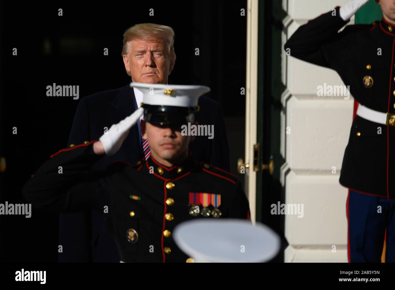 Washington, United States Of America. 25th Nov, 2019. United States ...