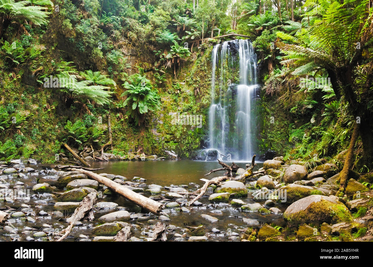 A photography of a rain forest waterfall Stock Photo - Alamy