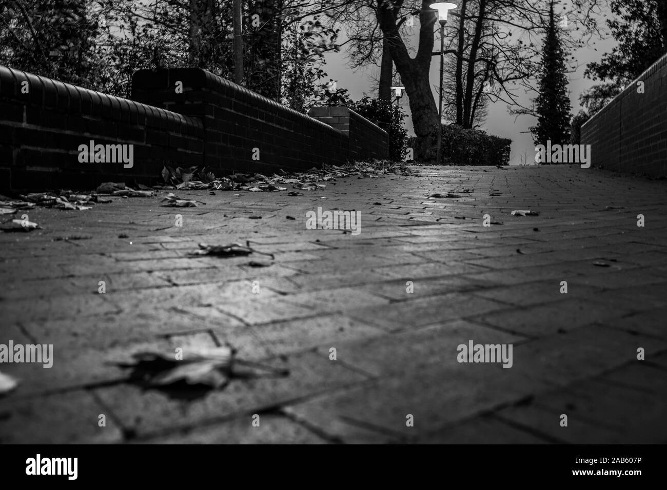 a black and white photograph of a lonely path in the darkness Stock ...
