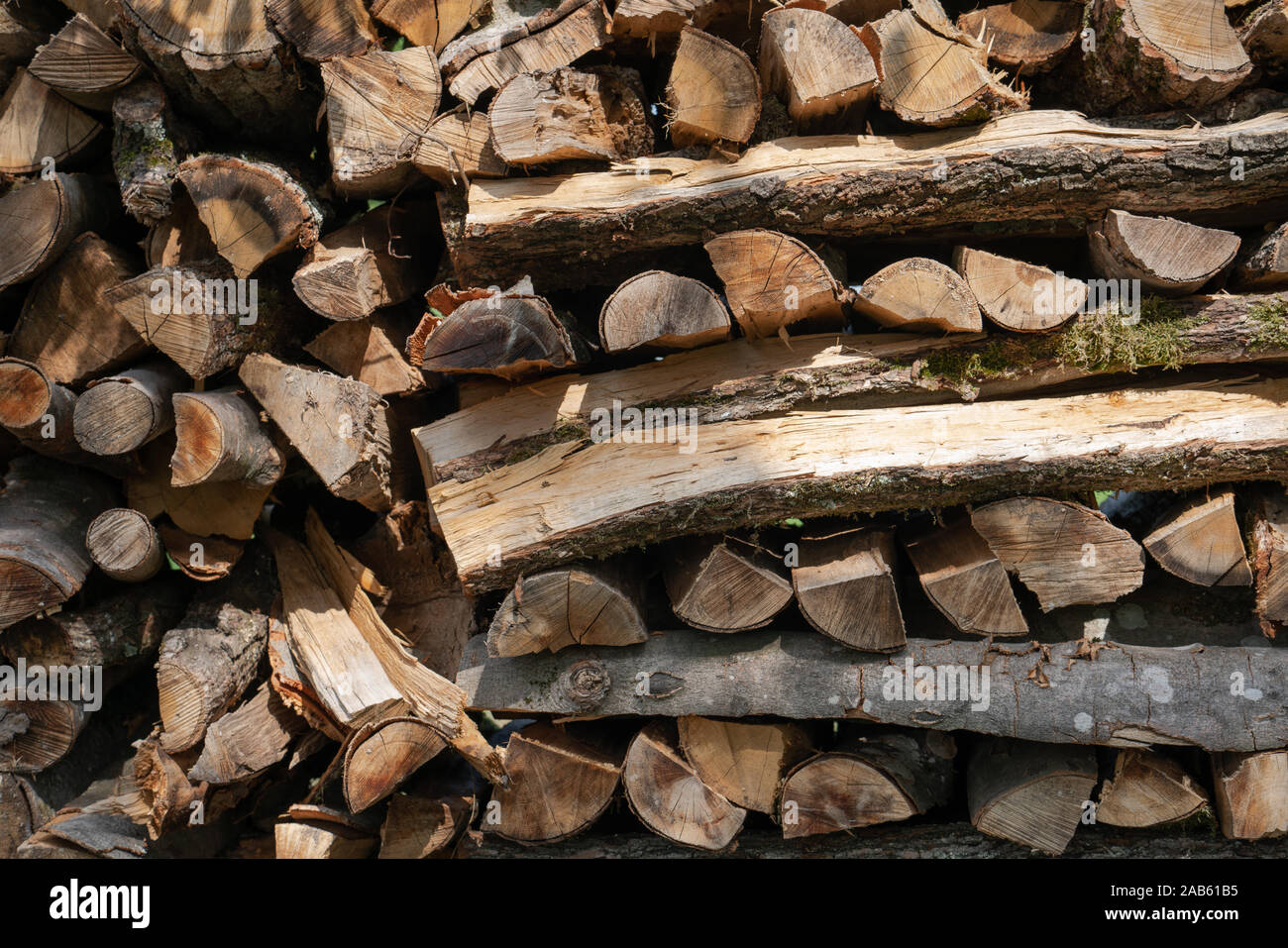 Pile of natural firewood in sunlight Stock Photo - Alamy