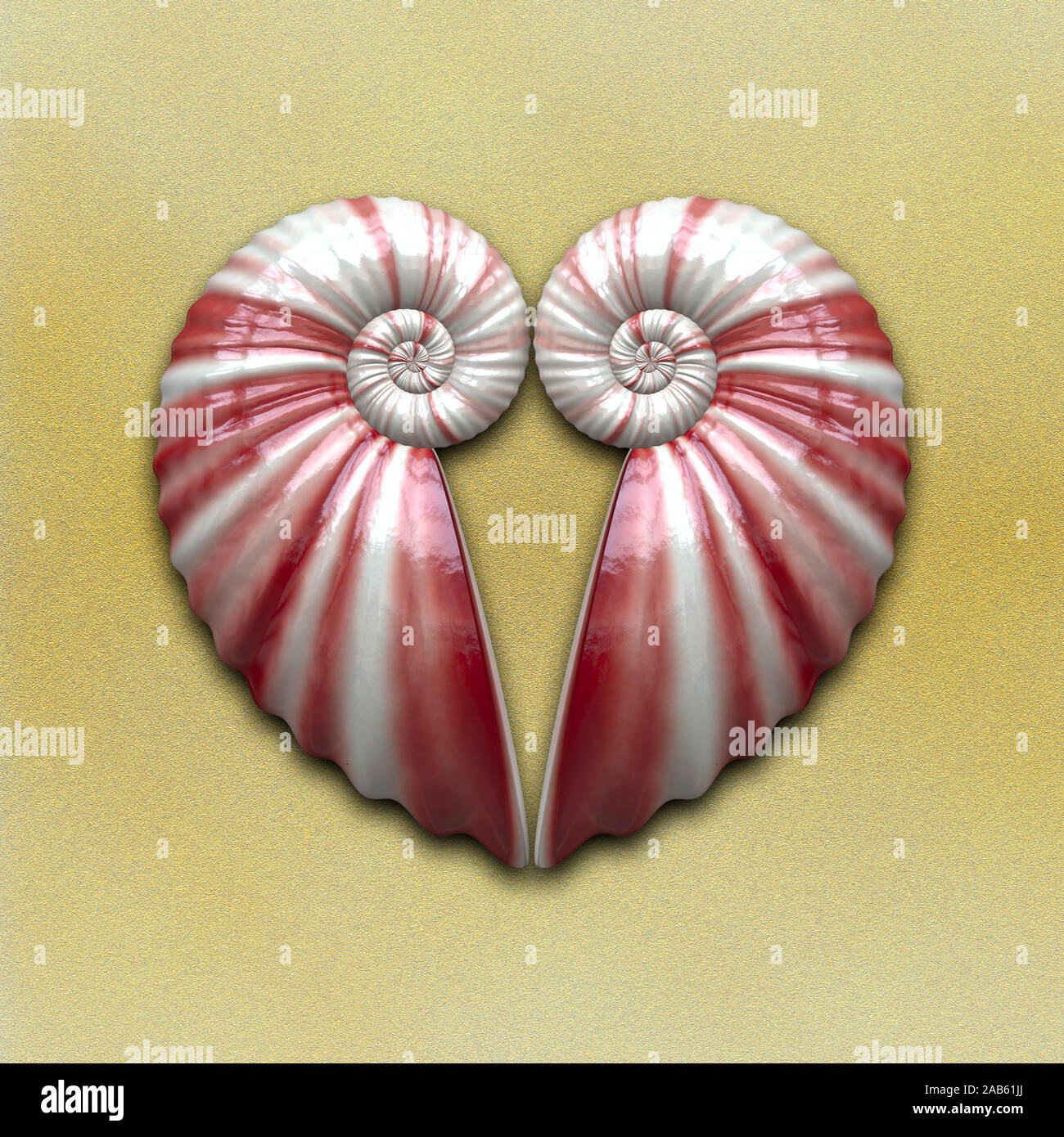 An illustration of a nice heart shape sea shell Stock Photo - Alamy