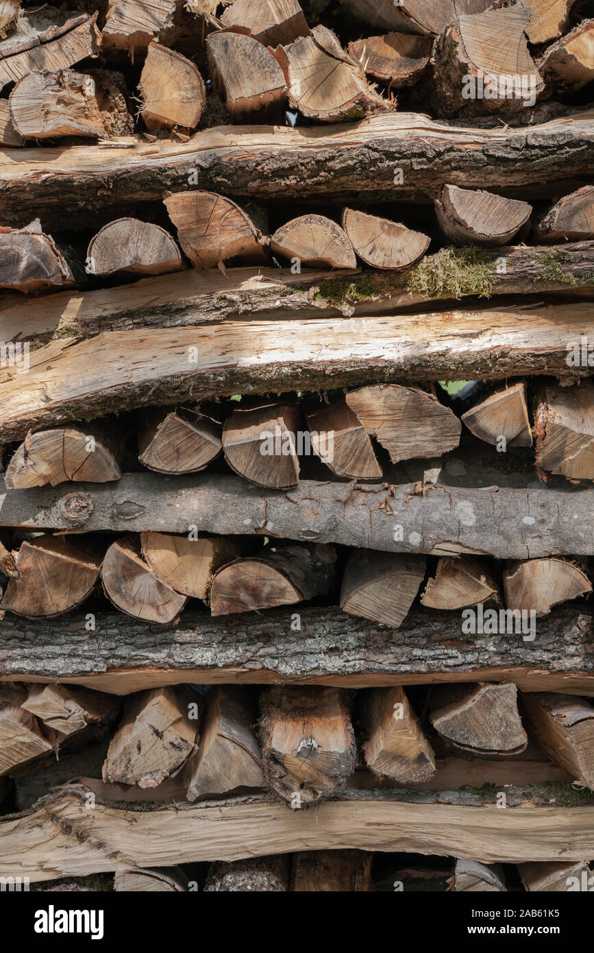 Pile of natural firewood in sunlight Stock Photo - Alamy