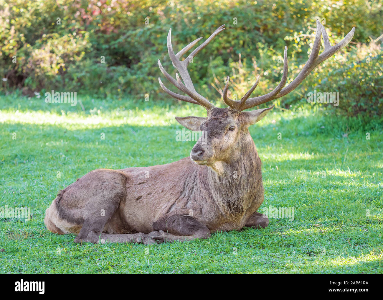 National Park of Abruzzo, Lazio and Molise (Italy) - The autumn with ...