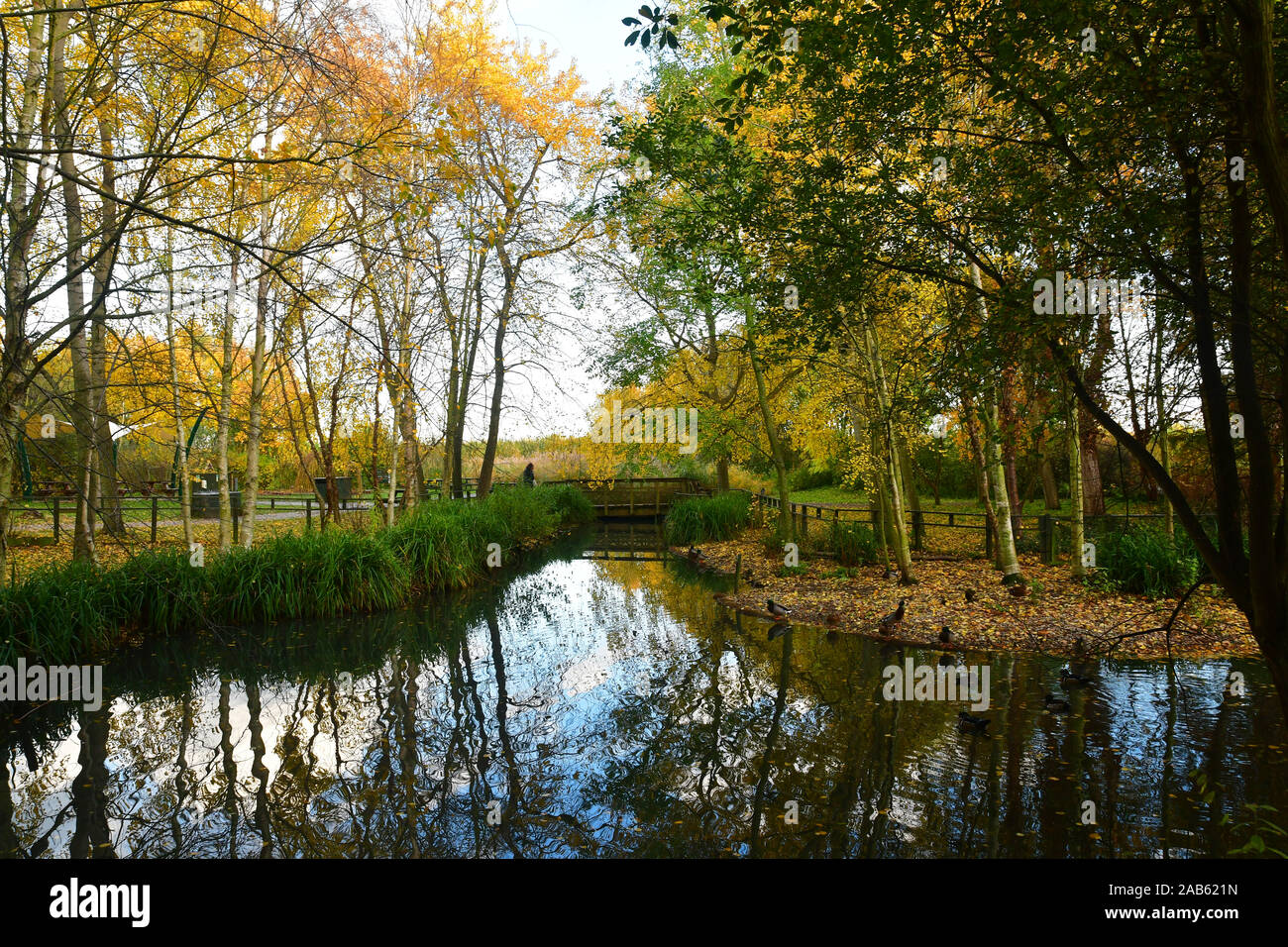 Autumn at the WWT London Wetland Centre, Queen Elizabeth's Walk, London ...