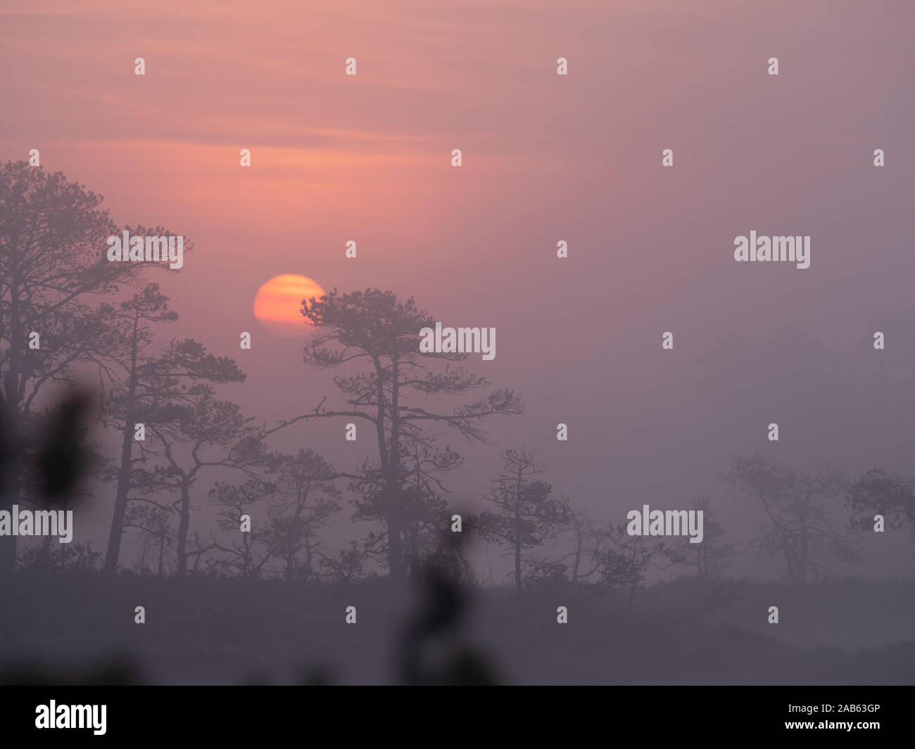 Varahommik hi-res stock photography and images - Alamy