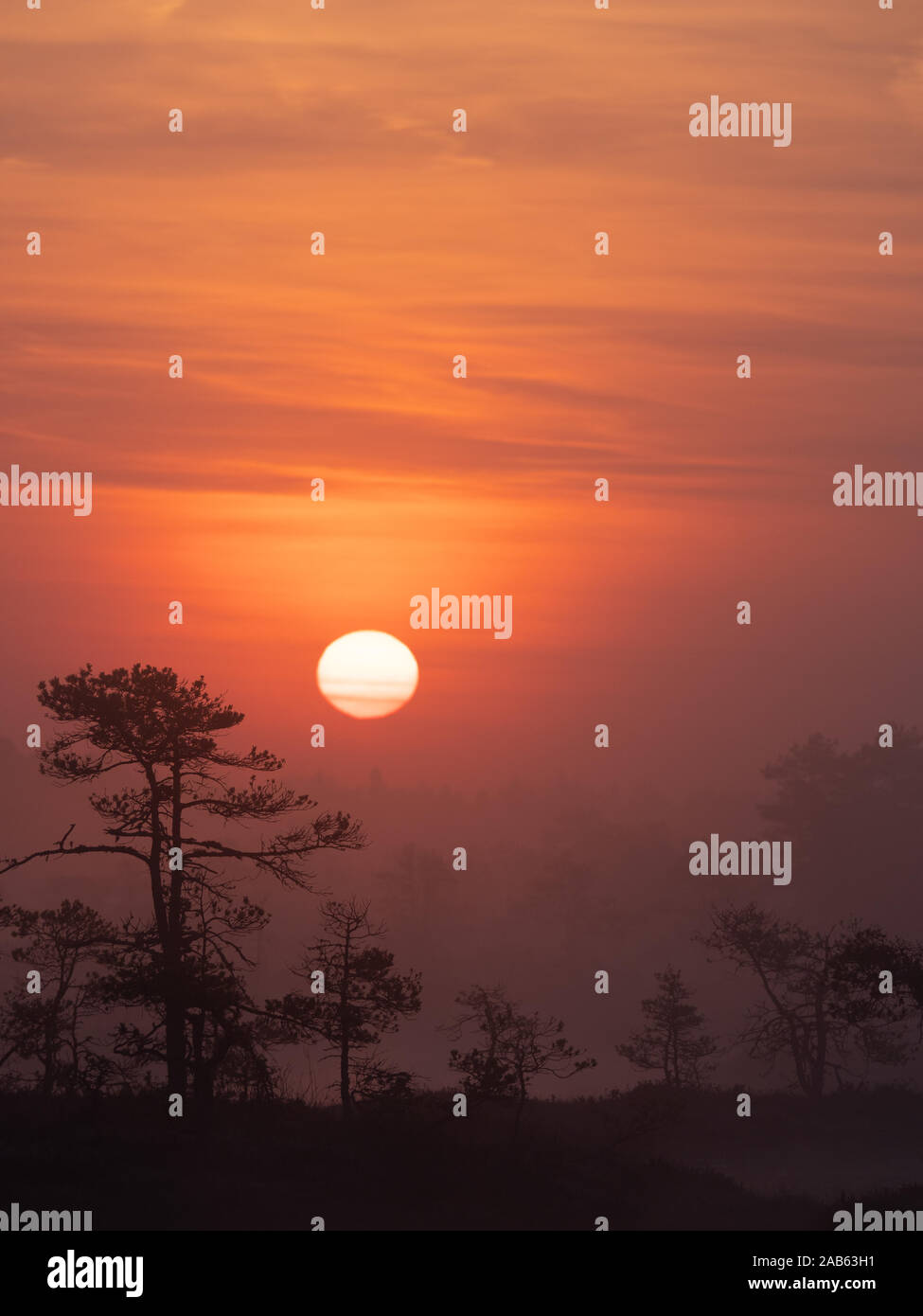 Varahommik hi-res stock photography and images - Alamy