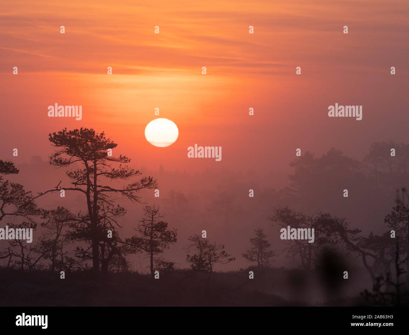 Varahommik hi-res stock photography and images - Alamy