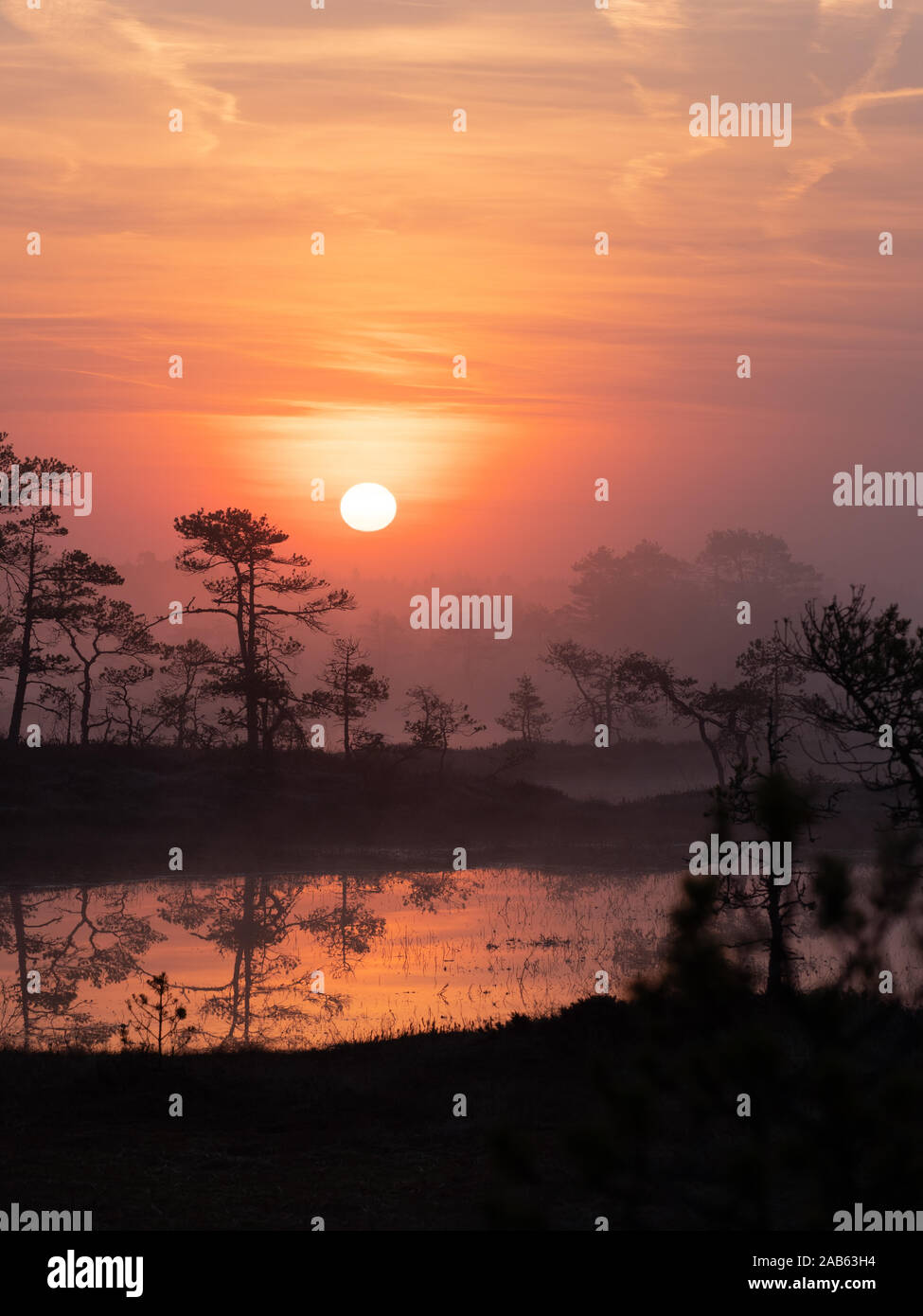 Varahommik hi-res stock photography and images - Alamy