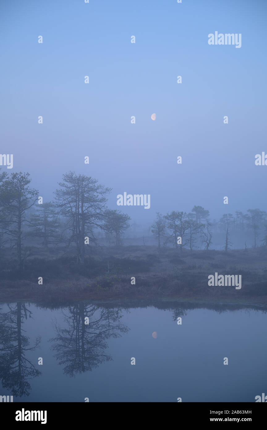 Varahommik hi-res stock photography and images - Alamy