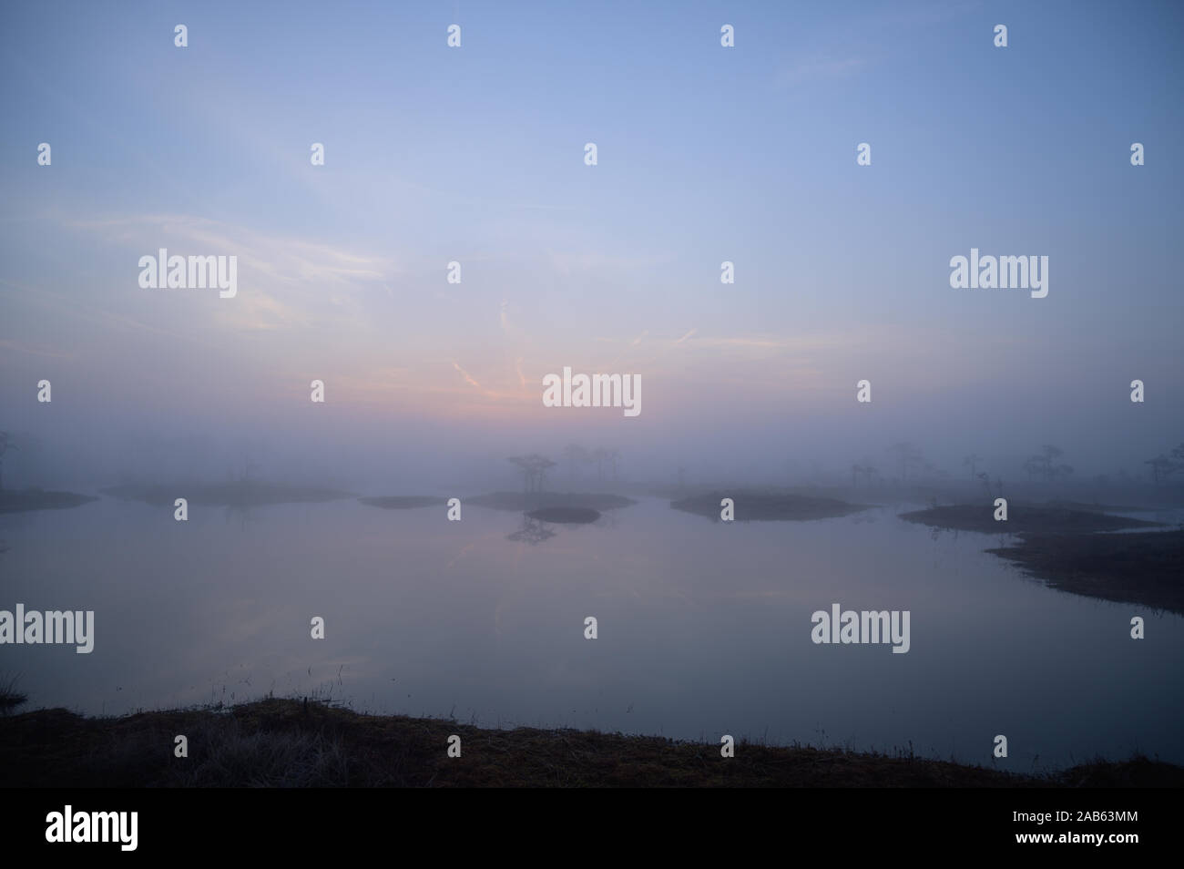 Crisp spring morning in bog Stock Photo - Alamy