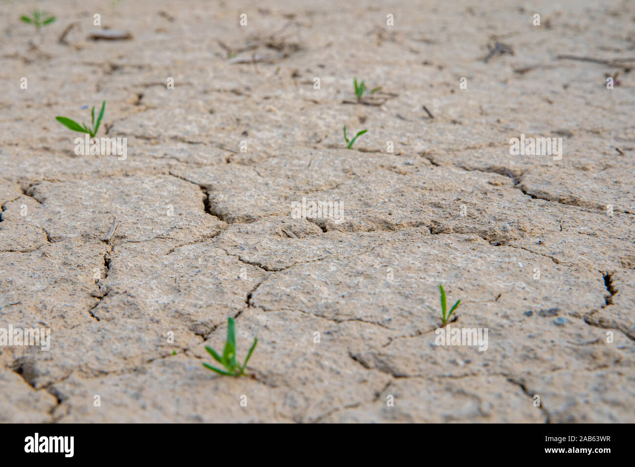 Dried up soil hi-res stock photography and images - Alamy