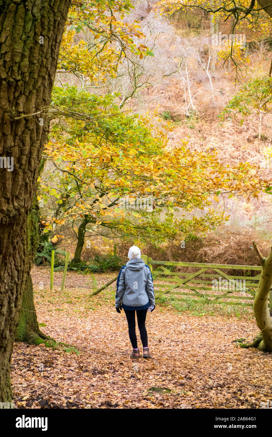 Woman walking alone hi-res stock photography and images - Alamy
