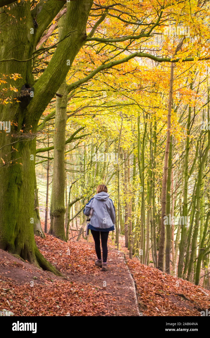 Woman walking alone hi-res stock photography and images - Alamy