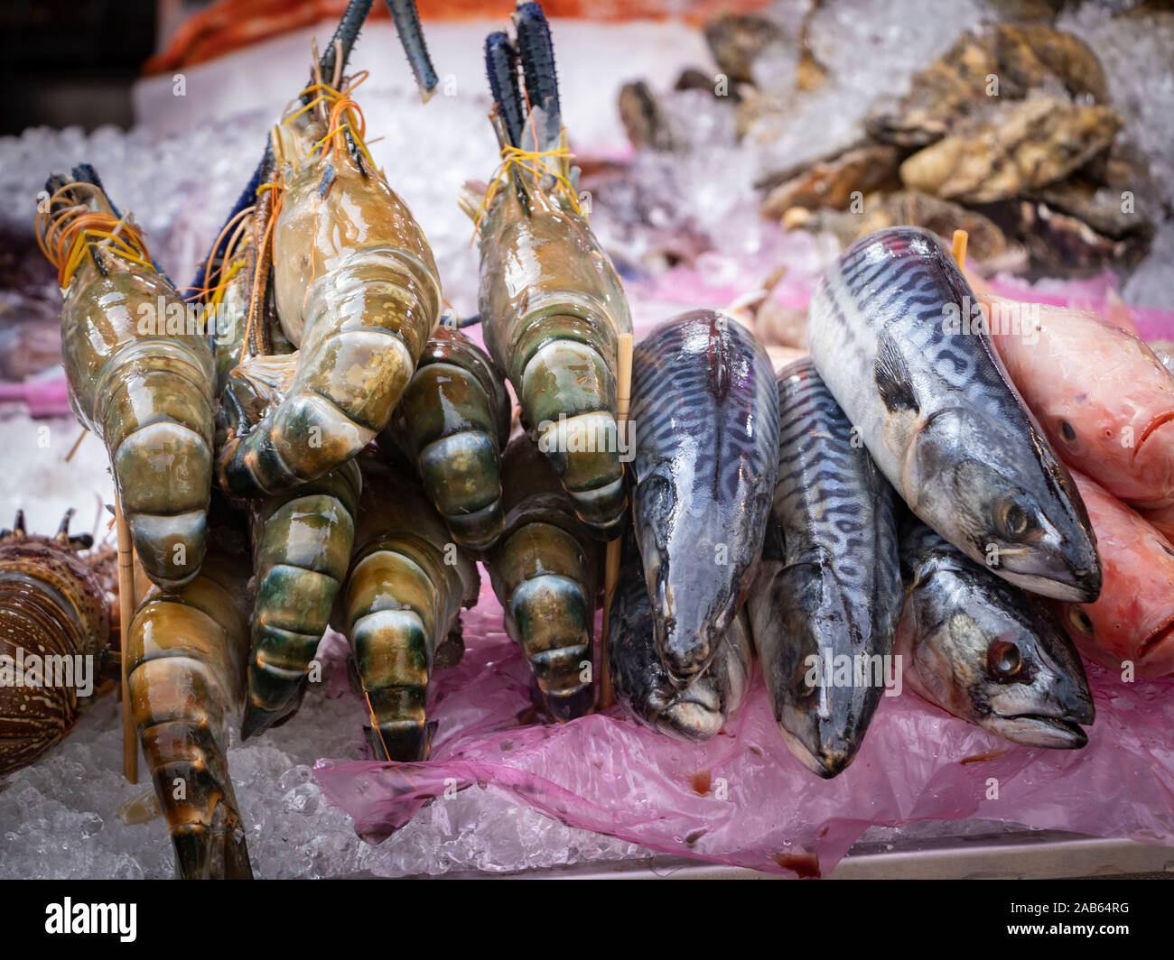 Bukit Bintang Food High Resolution Stock Photography and Images - Alamy