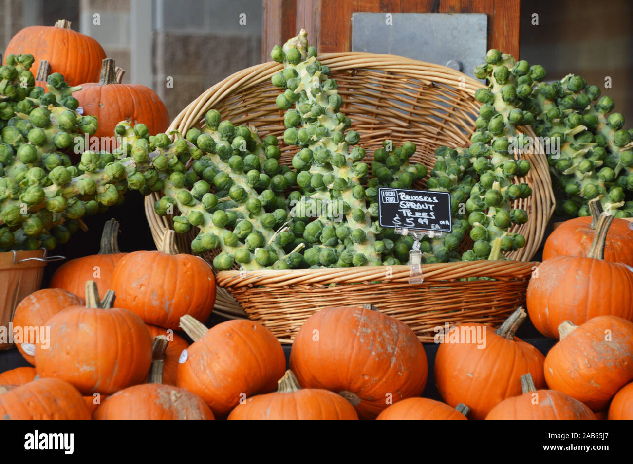 Checker board portrait Stock Photo - Alamy