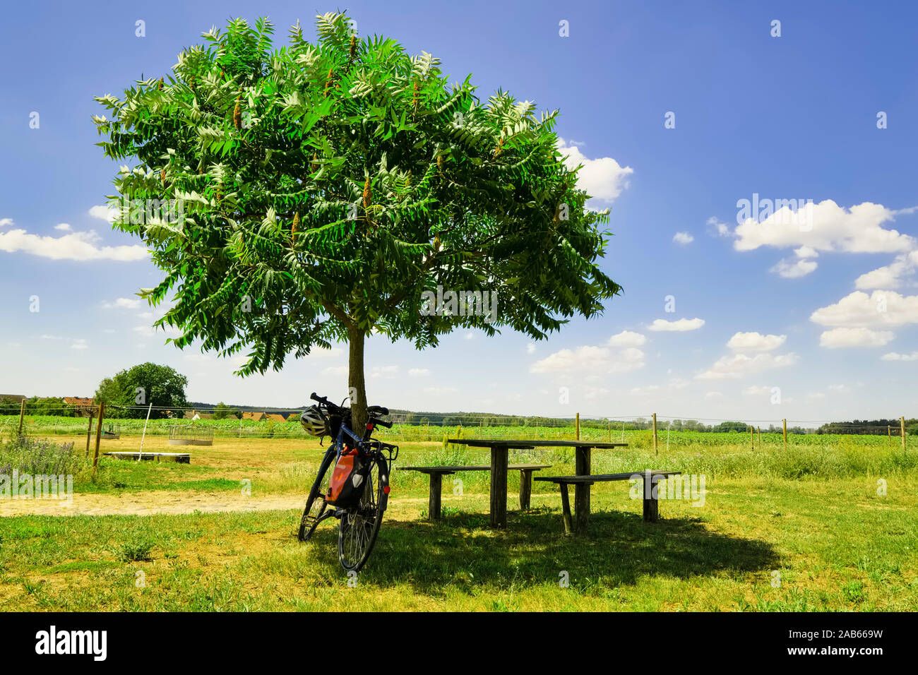 Bicycle rest area hi-res stock photography and images - Alamy