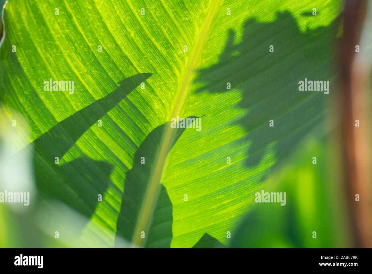 Light and shadow environment hi-res stock photography and images - Alamy