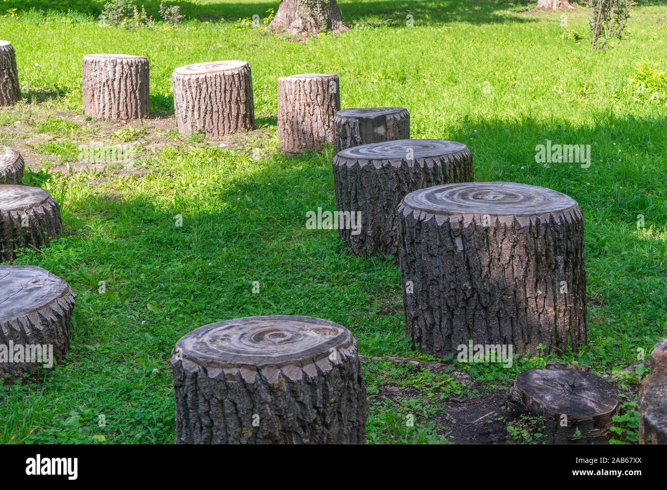 Treated tree stumps hi-res stock photography and images - Alamy