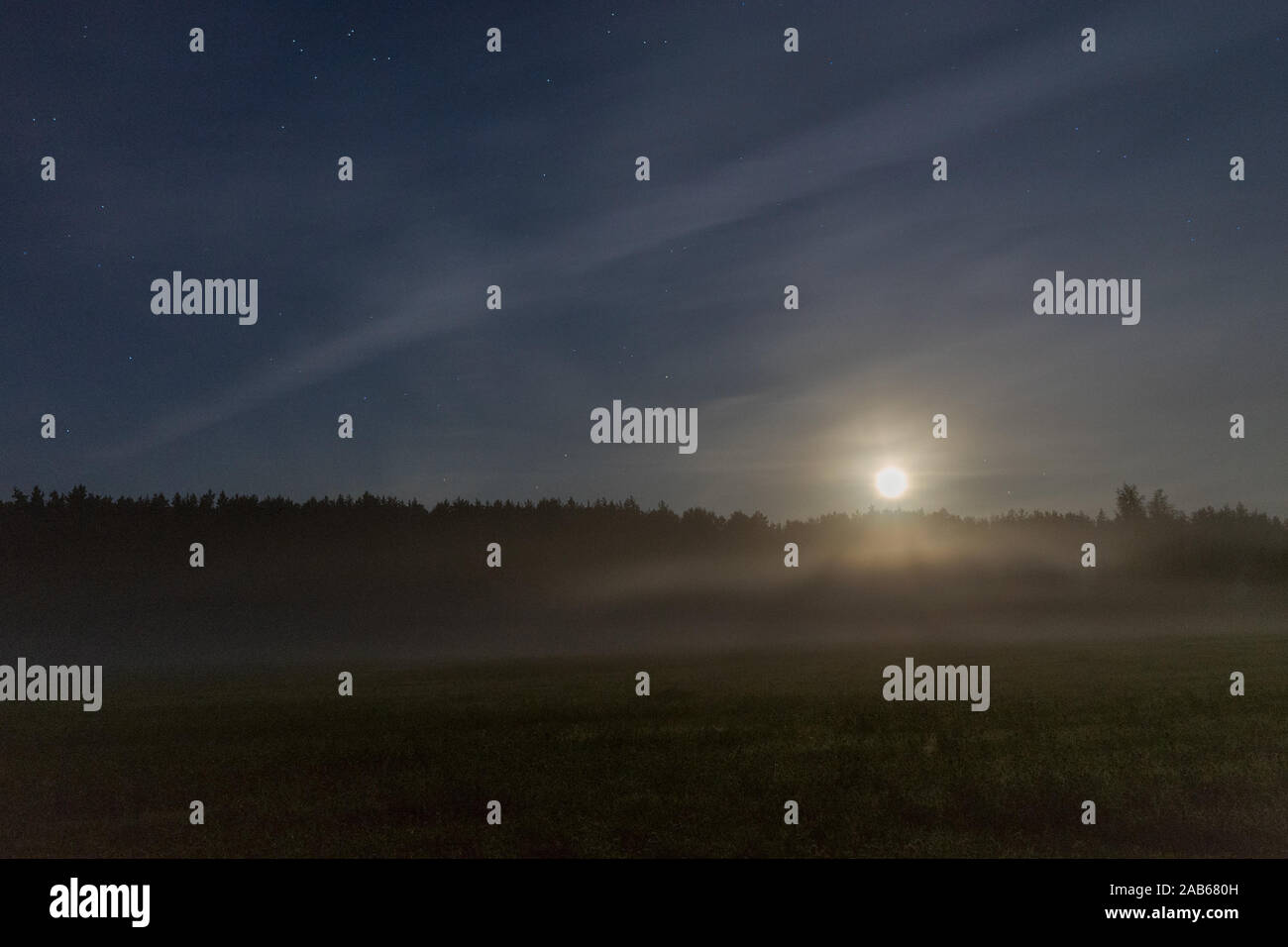 thick fog on field against background of bright moonlight, dark forest ...