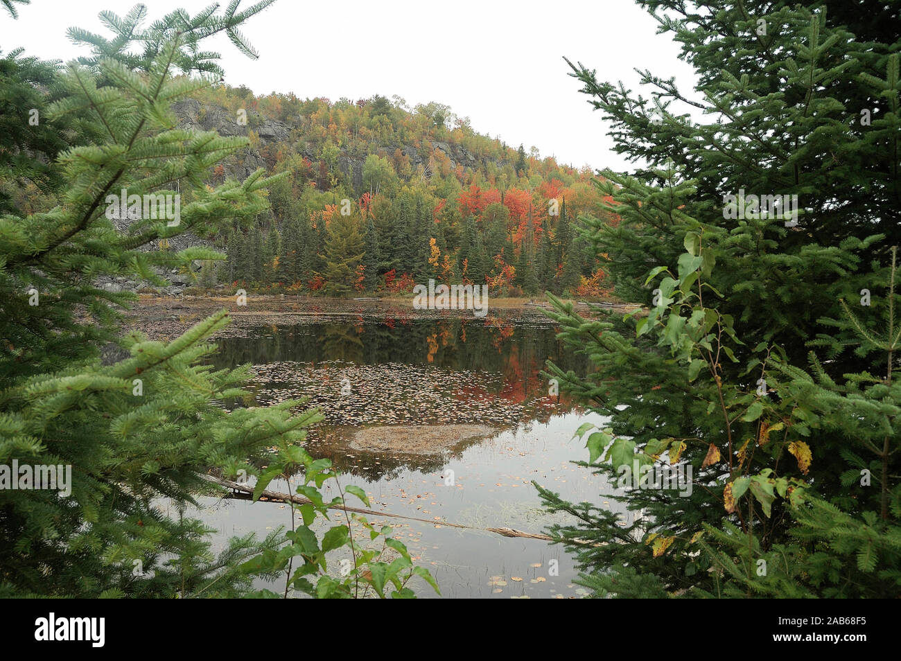 Autumn scenery landscape showing colorful nature scene with multicolor ...