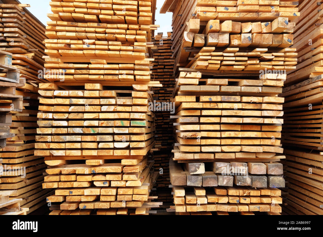 Stack of log preparing for construction. Wooden planks for construction ...
