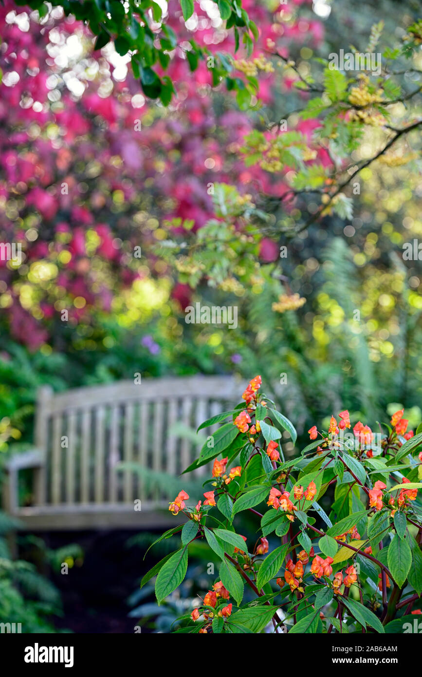Shade garden seating hi-res stock photography and images - Alamy