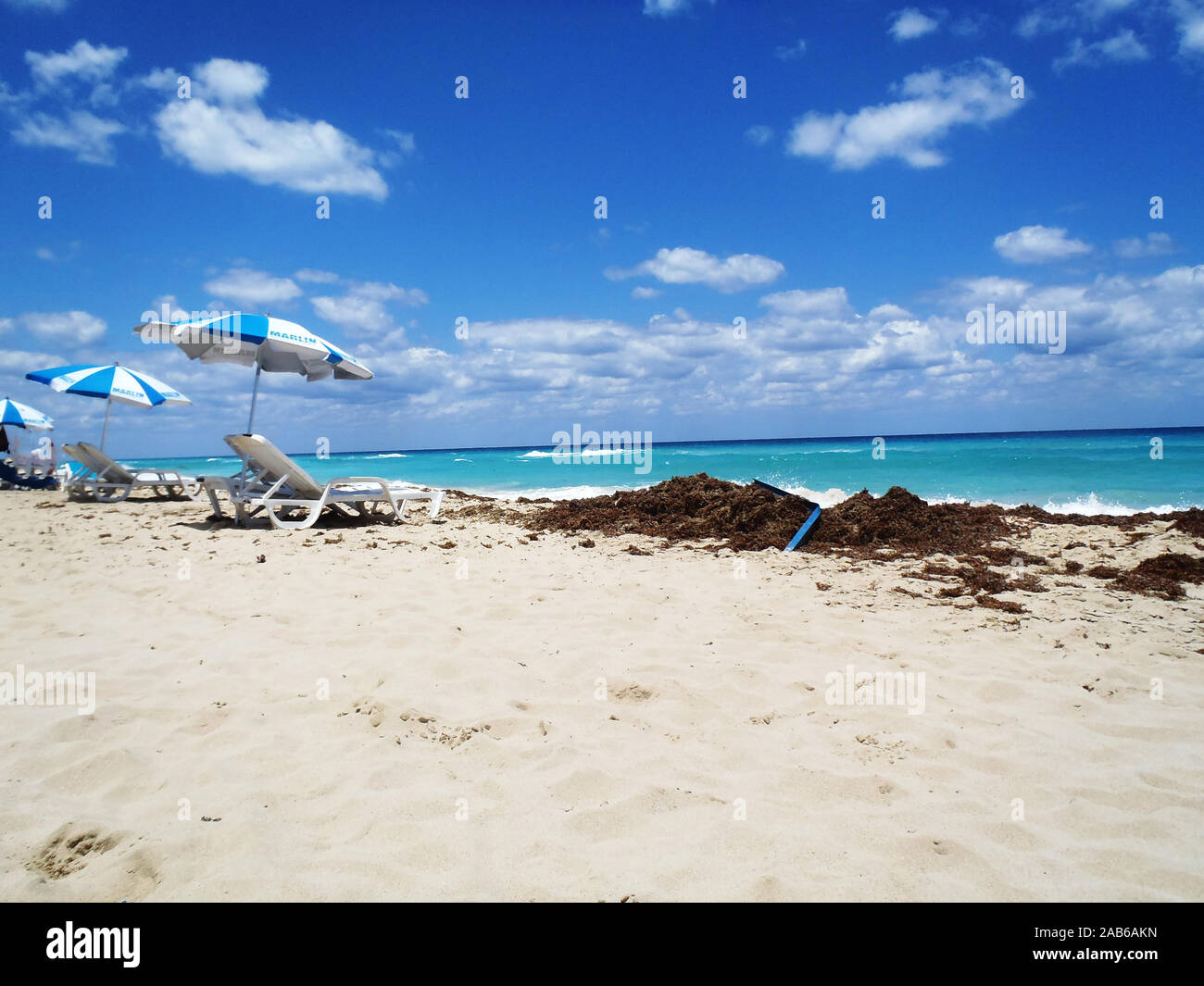 Relaxing on a tropical beach full of algae Stock Photo - Alamy
