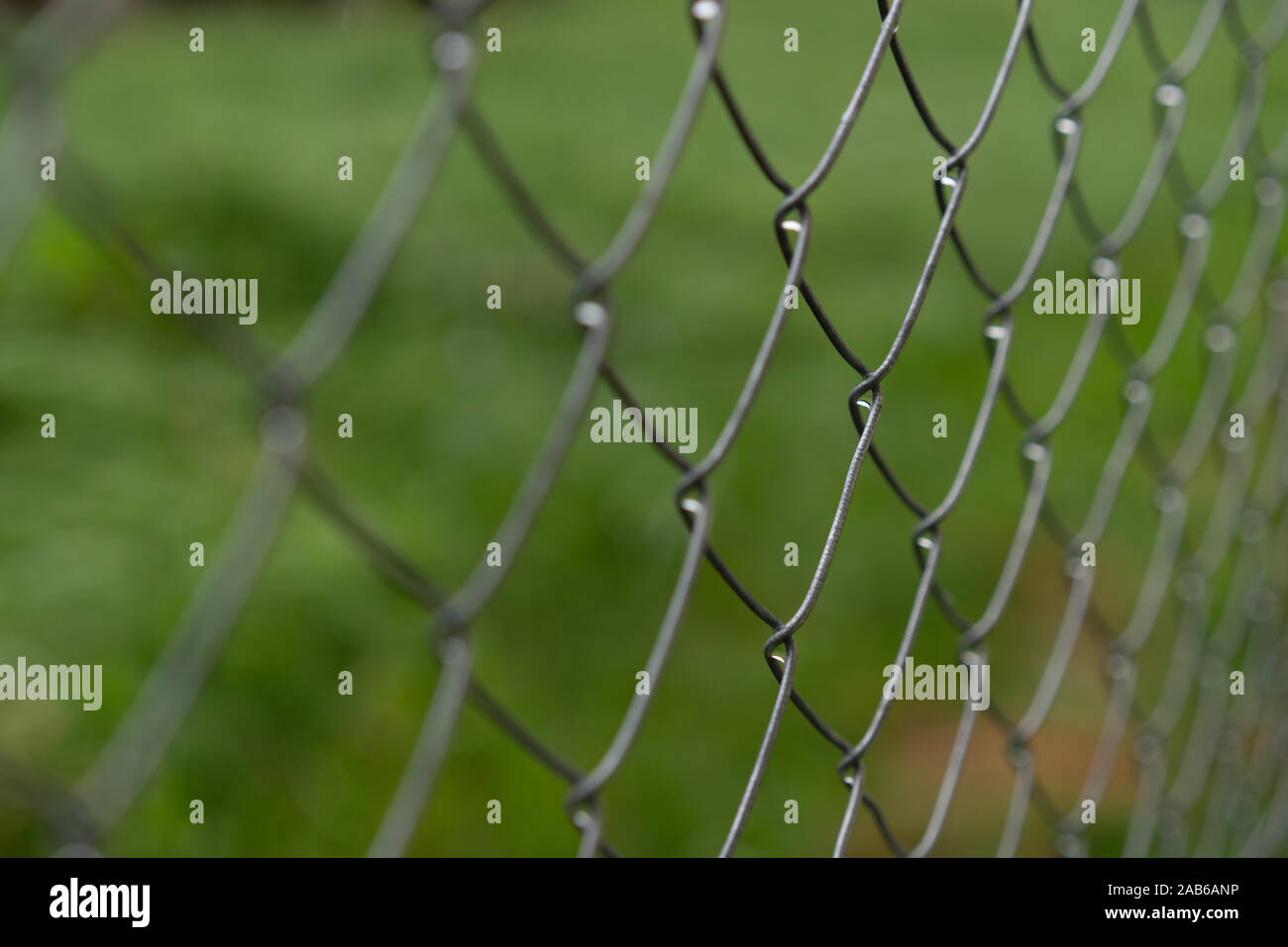 Metal grid fence in rain hi-res stock photography and images - Alamy