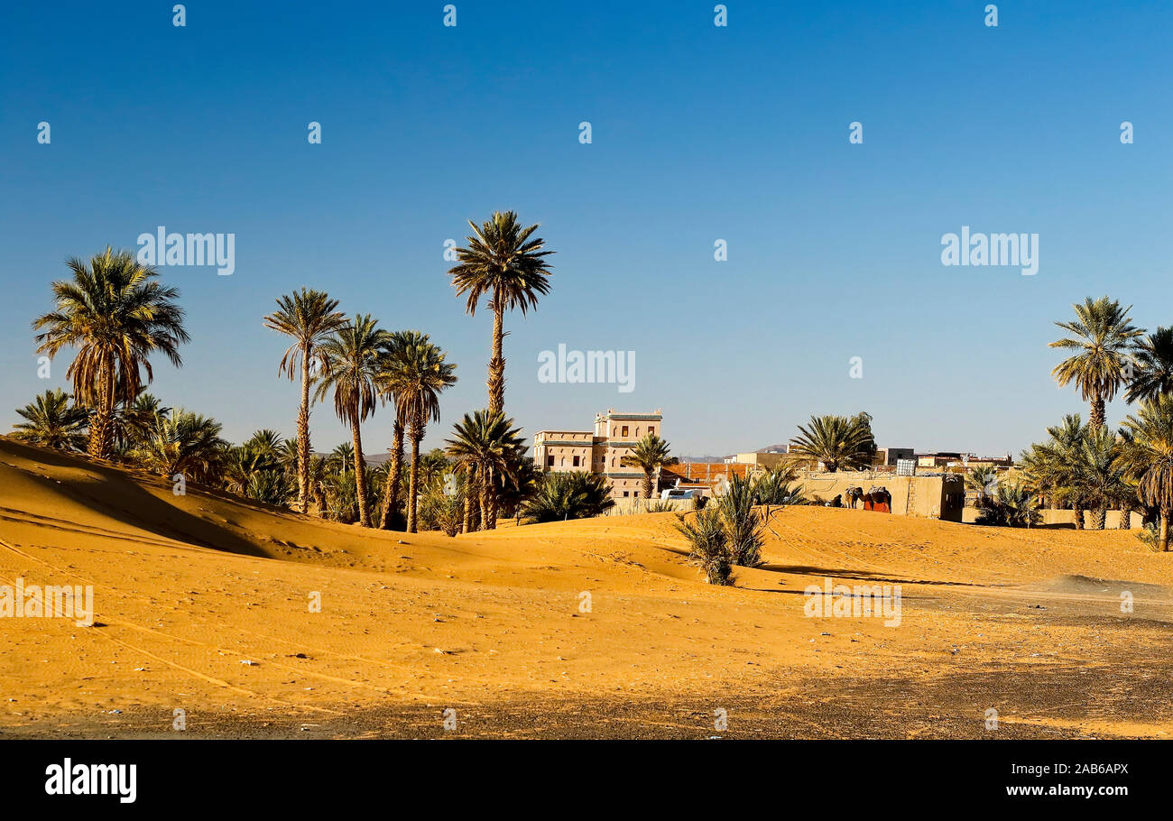 Desert village with palm trees hi-res stock photography and images - Alamy