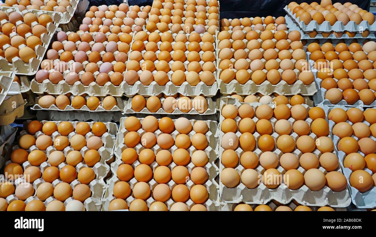 Cartons fresh free range hi-res stock photography and images - Alamy
