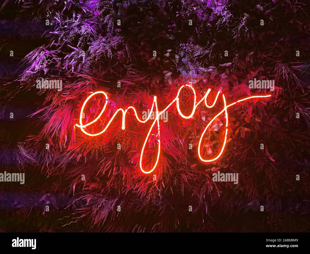 LED sign Enjoy. Live neon sign on the leaves wall background Stock ...