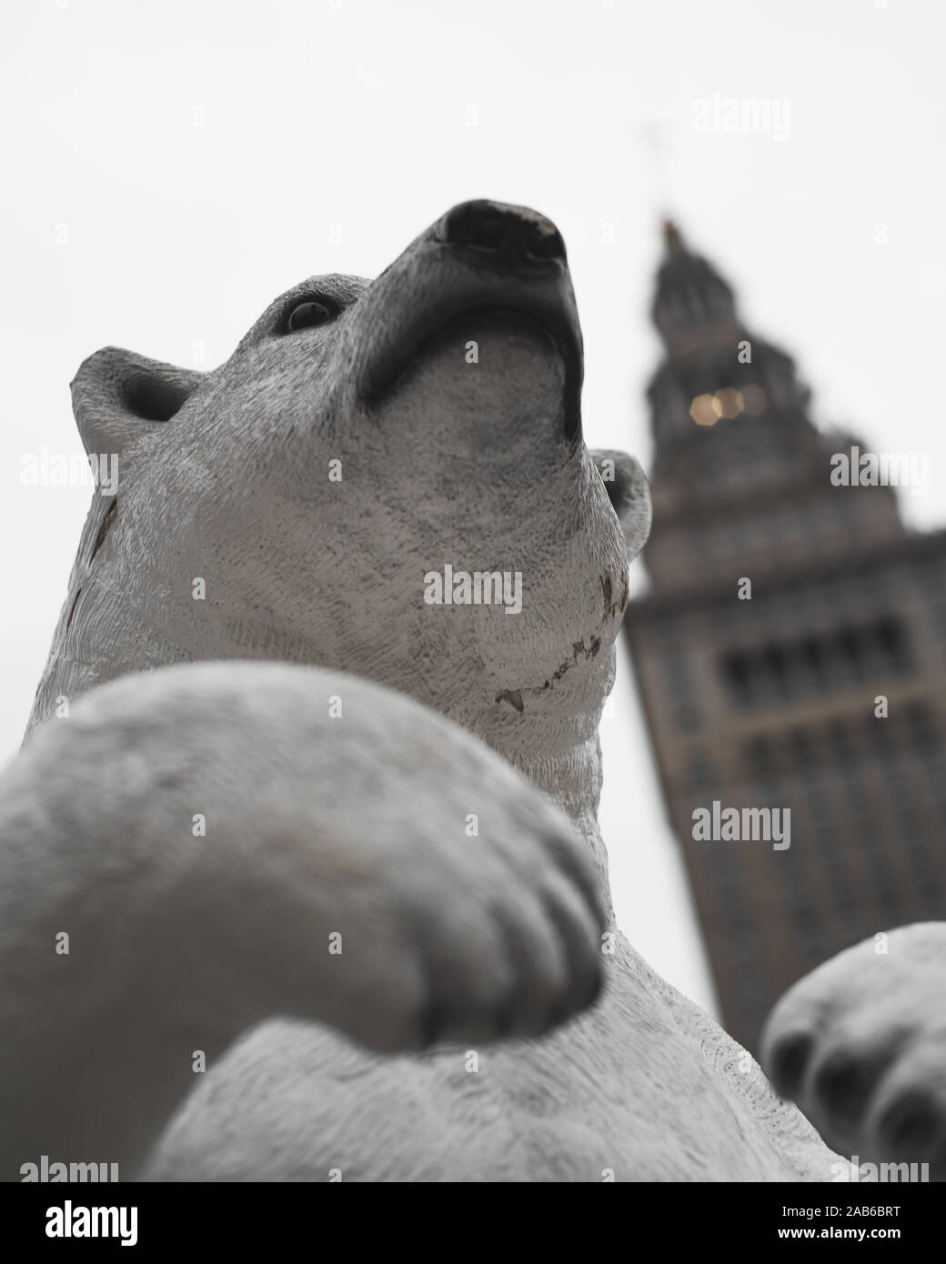 Cleveland Public Square Polar Bear Stock Photo - Alamy