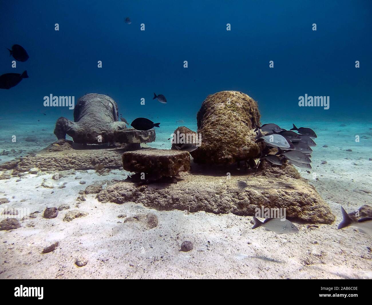 MUSA - The Museum of Underwater Art in Isla Mujeres near Cancun in ...