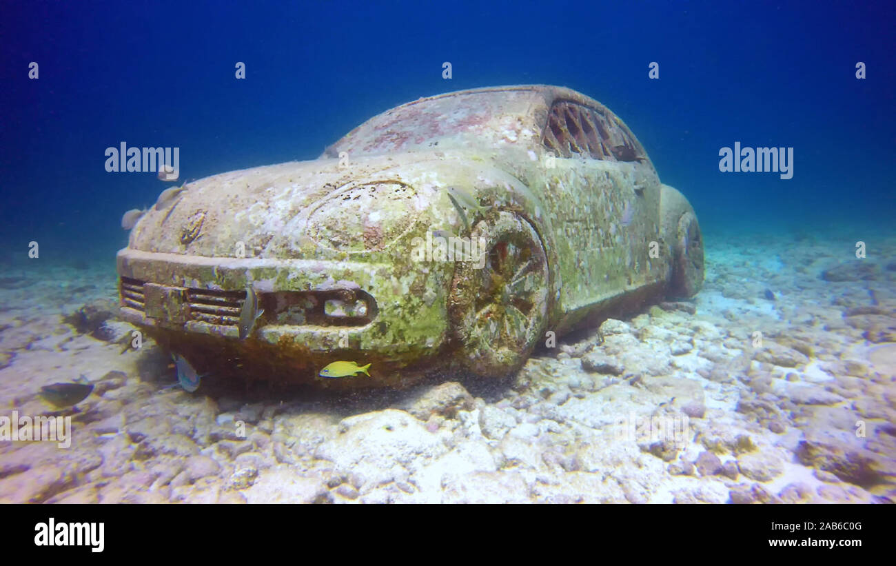 MUSA - The Museum of Underwater Art in Isla Mujeres near Cancun in ...