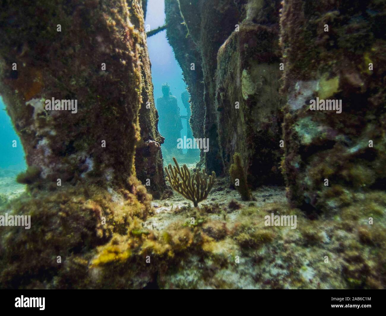 MUSA - The Museum of Underwater Art in Isla Mujeres near Cancun in ...