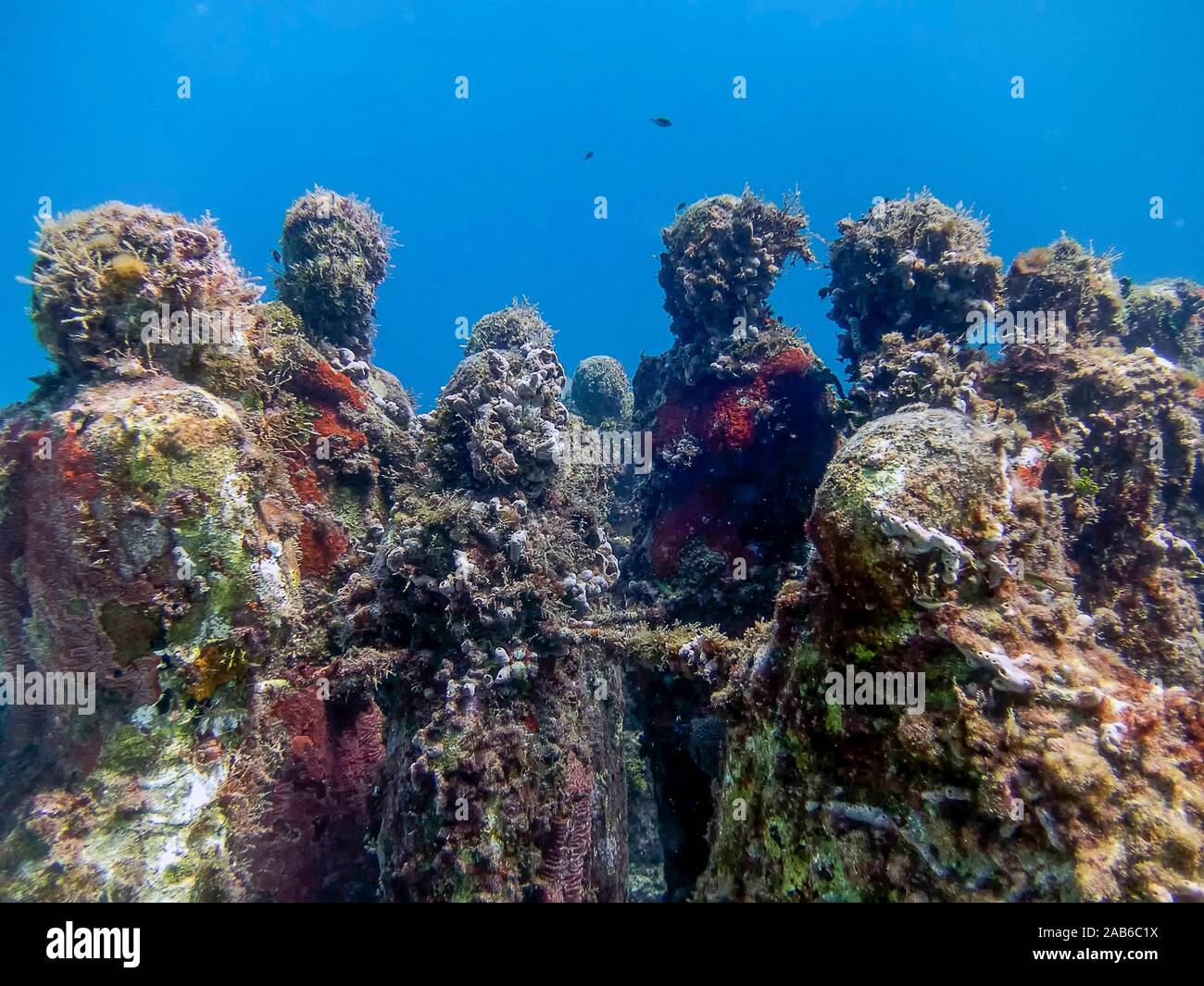 Cancun underwater museum hi-res stock photography and images - Alamy