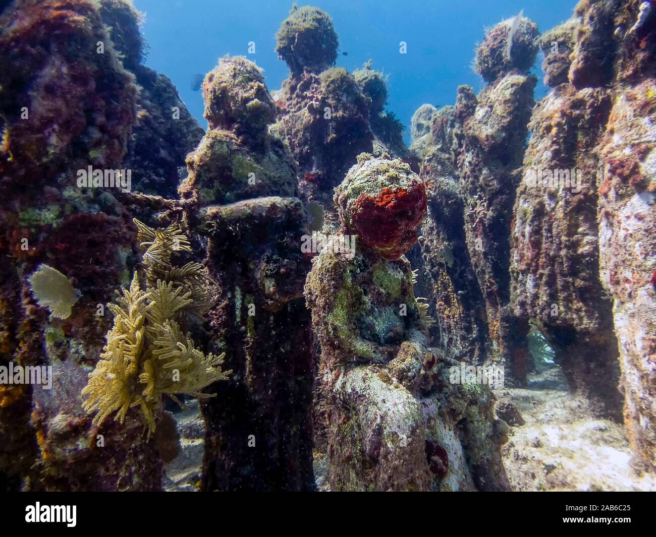 MUSA - The Museum of Underwater Art in Isla Mujeres near Cancun in ...
