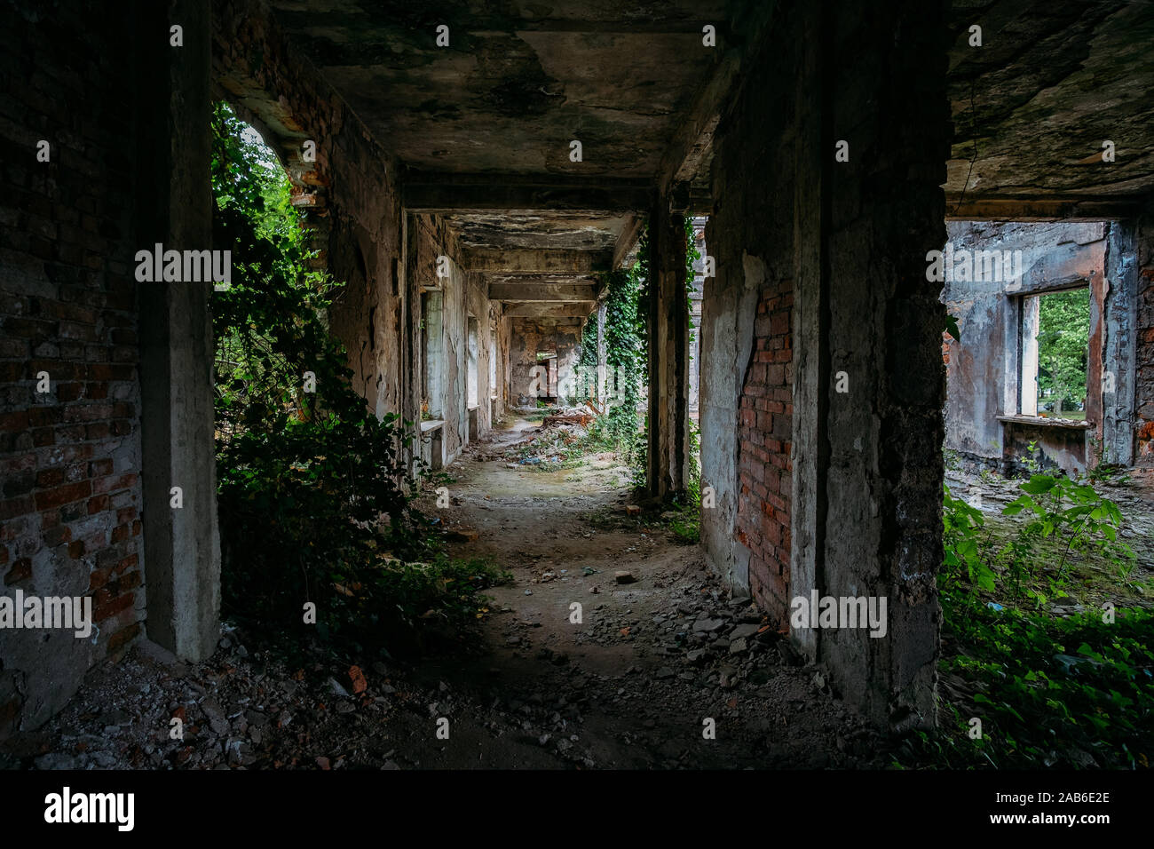 Ruined mansion corridor interior overgrown by plants. Nature and ...